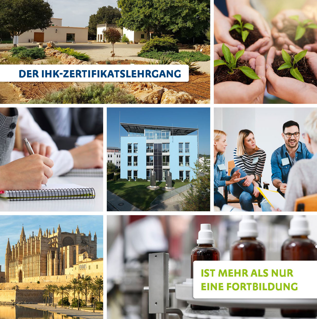 Kursinhalte | Bionorica Fachkreise